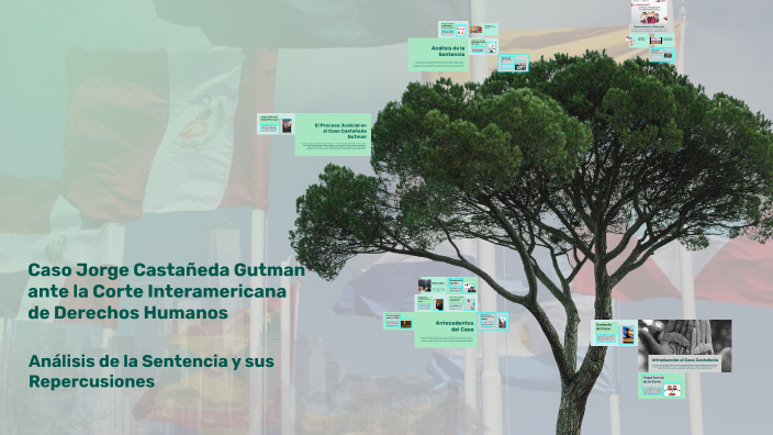 Caso Jorge Castañeda Gutman ante la Corte Interamericana de Derechos ...