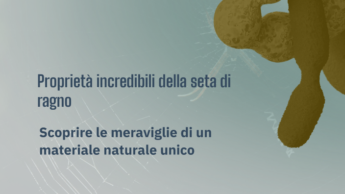 Proprietà incredibili della seta di ragno by vincenzo fazio on Prezi