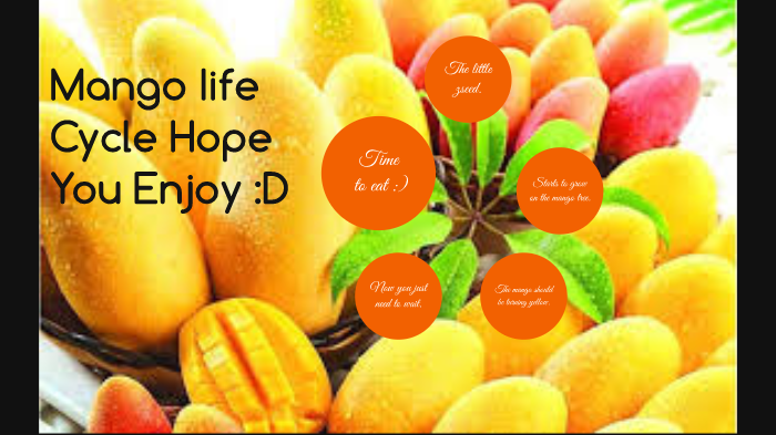 Mango presentation by joshua Dempsey on Prezi