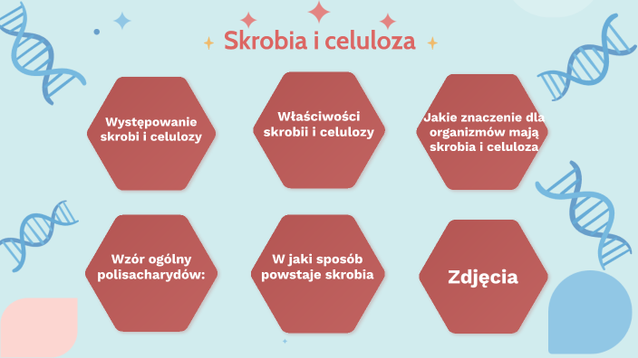 Skrobia i celuloza - polisacharydy by Karol Wundersee on Prezi