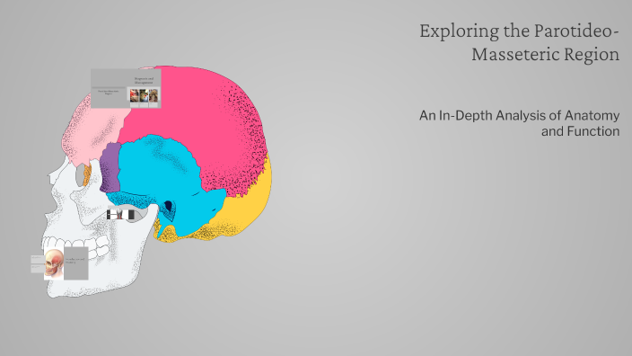 Exploring the Parotideo-Masseteric Region by IP PHASE on Prezi
