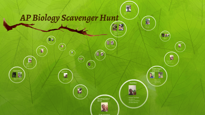 AP Biology Scavenger Hunt by Thomas Keokhaw on Prezi