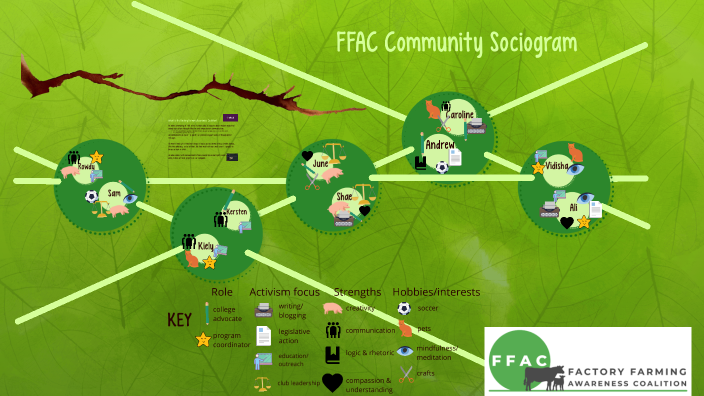 FFAC EDSA Sociogram by Sam Hobson on Prezi