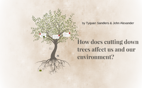 How does cutting down trees affect us and our environment? by tyquan ...