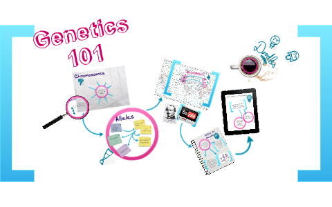 Genetics Concept Map by Erin Potterf on Prezi