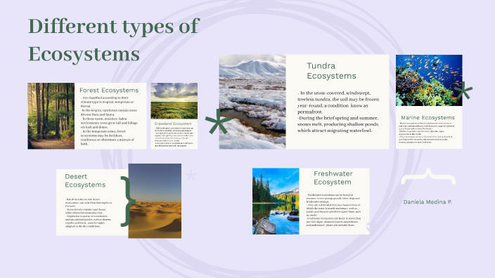 Ecosystems by Daniela Medina Palacio on Prezi