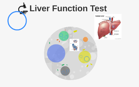 Liver Function Test by Jion Dimson on Prezi