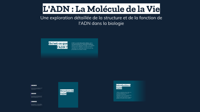 L'ADN : La Molécule de la Vie by Fatima Ghanem on Prezi
