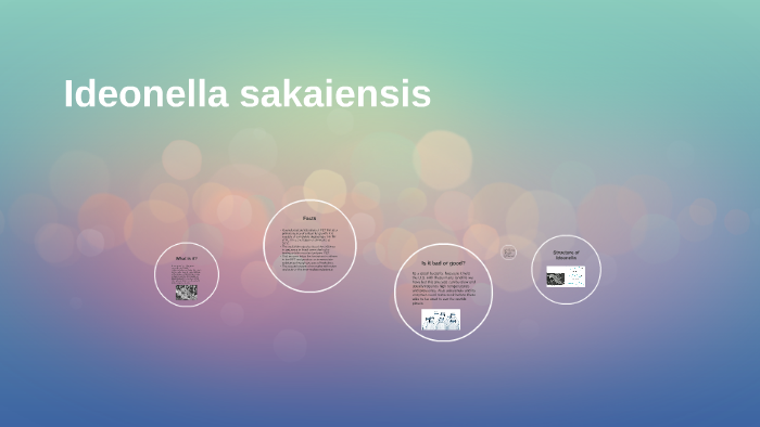 Ideonella sakaiensis by bernard thompson on Prezi