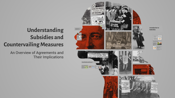 Understanding Subsidies and Countervailing Measures by alexandra angelo ...