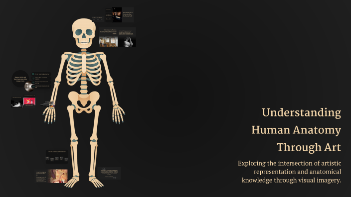 Understanding Human Anatomy Through Art by nektarios mitsiakos on Prezi