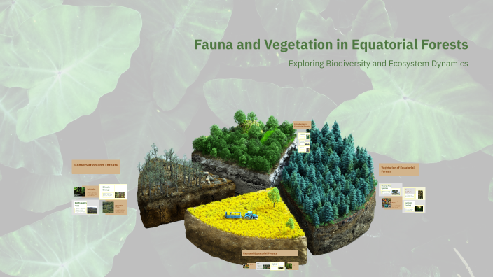 Fauna and Vegetation in Equatorial Forests by stoleriu on Prezi