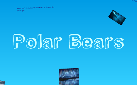 Animal Adaptation Poster by Keagan Grubbs on Prezi