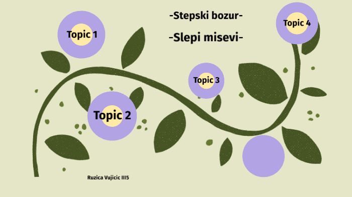 -Stepski bozur-Slepi misevi- by Ruzica Vujicic on Prezi