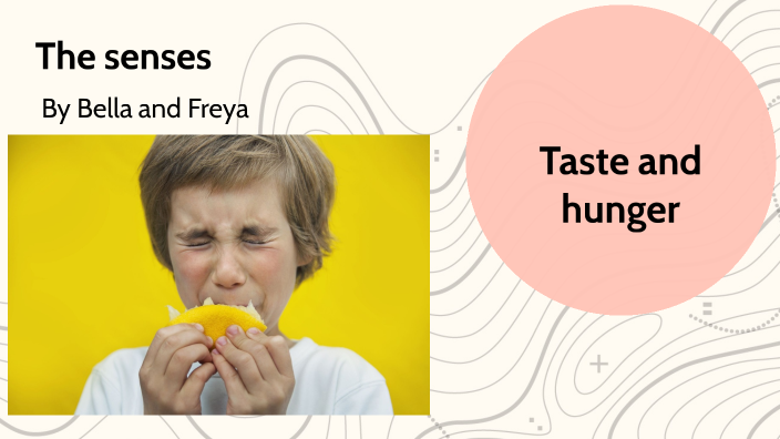 The senses by Freya Huxtable on Prezi