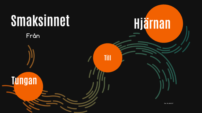 Smak sinnet by Henning Håkansson on Prezi