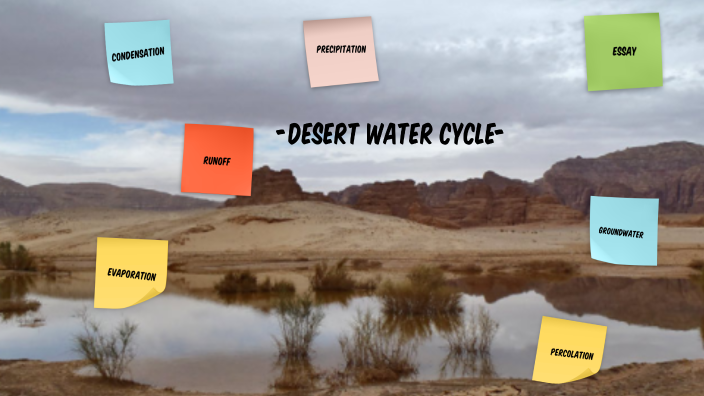 Desert Water Cycle by Marissa Hitz on Prezi