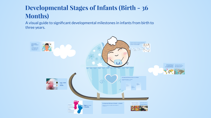 Developmental Stages of Infants (Birth - 36 Months) by kylie shell on Prezi