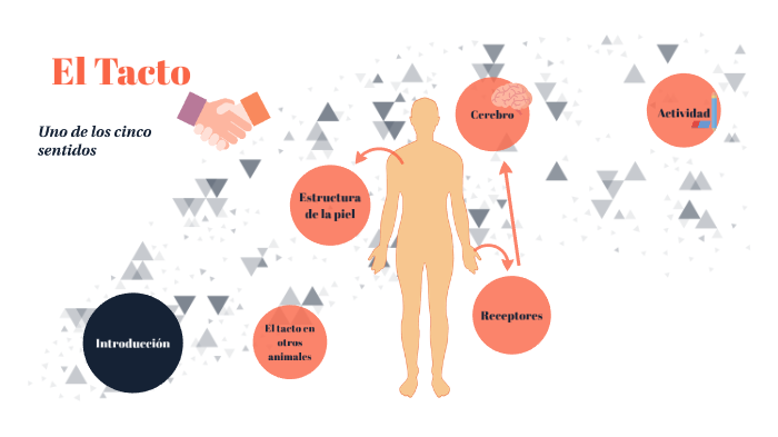 El tacto by Naiara Pace on Prezi