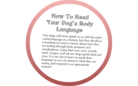 How To Read Your Dogs Body Language by Daniel Ortega on Prezi