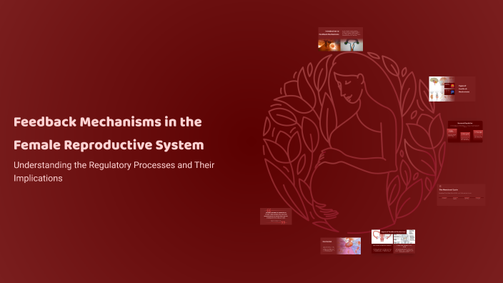 Feedback Mechanisms in the Female Reproductive System by Ronalie ...