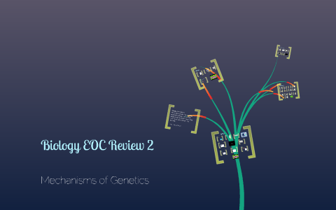 Biology EOC Review 2-Mechanisms of Genetics by Clarissa Caro on Prezi