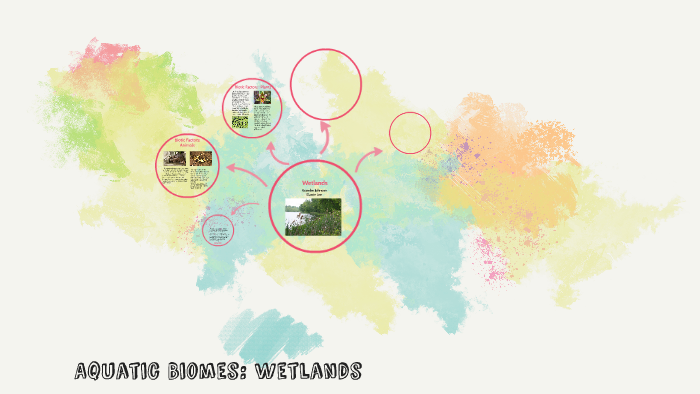Aquatic Biomes: Wetland by Keandre Johnson on Prezi