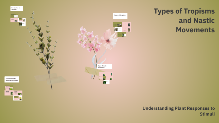 Types of Tropisms and Nastic Movements by Wiktoria Mularczyk on Prezi