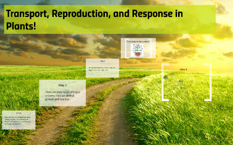 Transport, Reproduction, and Response in Plants! by Alexis Gardea on Prezi