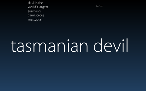 davo by david shipway on Prezi