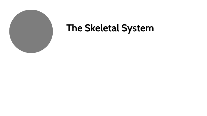 The Skeletal System by rachel orozco on Prezi
