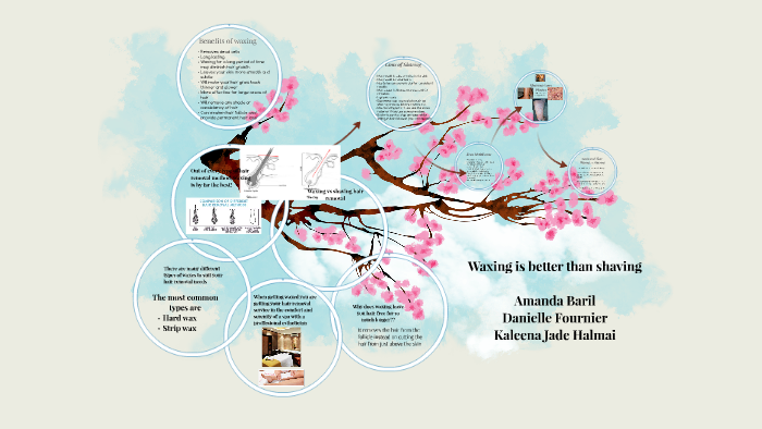 Waxing is better than shaving by Amanda Baril on Prezi