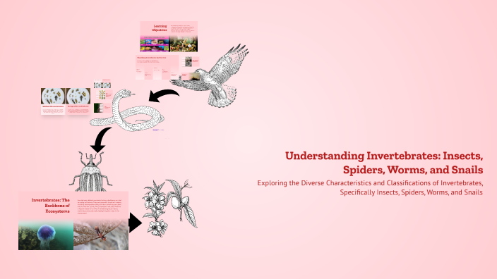 Understanding Invertebrates: Insects, Spiders, Worms, and Snails by gie ...
