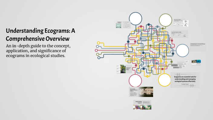 Understanding Ecograms: A Comprehensive Overview by josje van de ven on ...