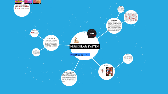 MUSCULAR SYSTEM by Duncan Pinero on Prezi