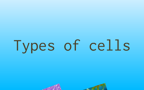 Diffrent types of cells and their jobs by bre taylor