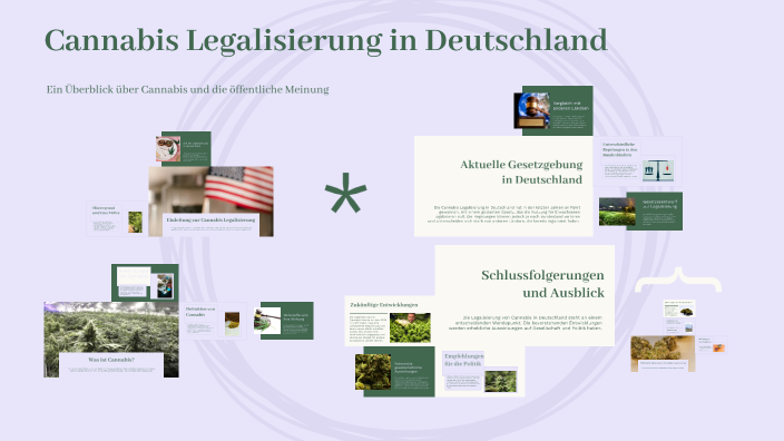 Cannabis Legalisierung in Deutschland by Nele Meier zu Verl on Prezi