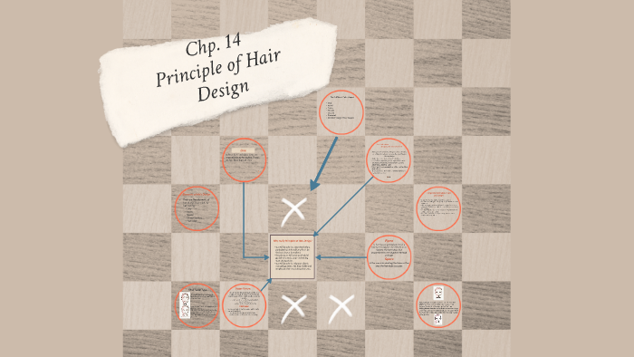 Chp. 14 Principle of Hair Design by Ms. Tripp604