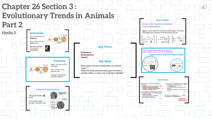 Chapter 26 Section 3 : Evolutionary Trends in Animals Part 2 by Song ...