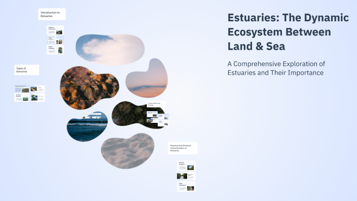 Estuaries: The Dynamic Ecosystem Between Land & Sea by tee garg on Prezi