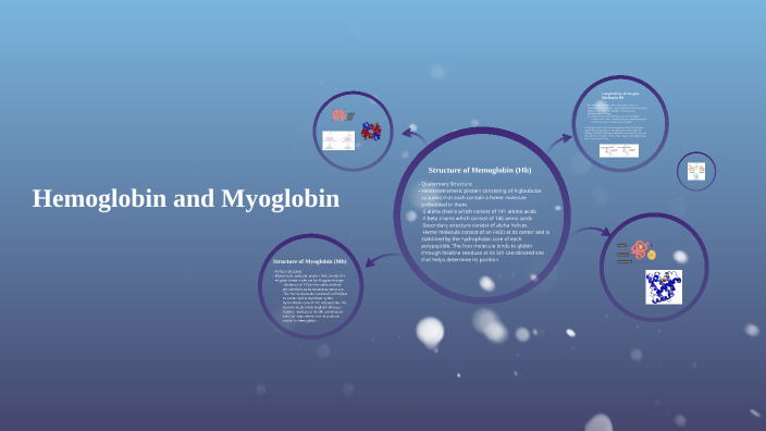 Hemoglobin and Myoglobin Structure and Function by Blake Cunningham on ...