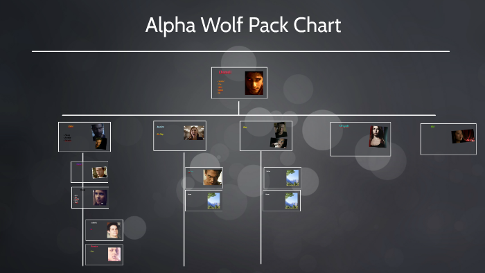 Alpha Wolf Pack Chart by hazel lee on Prezi