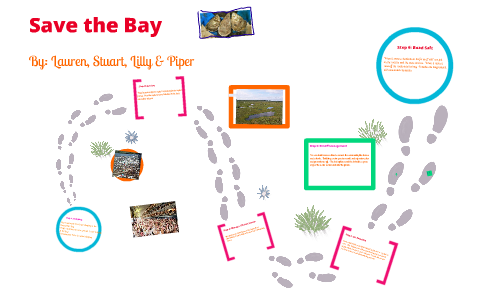 Six Step Action Plan by Lauren McGraw on Prezi