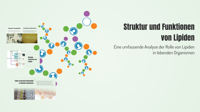 Struktur und Funktionen von Lipiden by Hatice Yildirim on Prezi