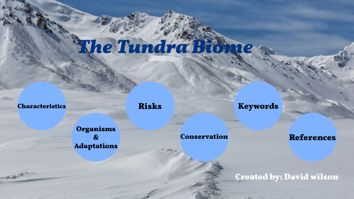 Tundra Biome Presentation by David Wilson on Prezi