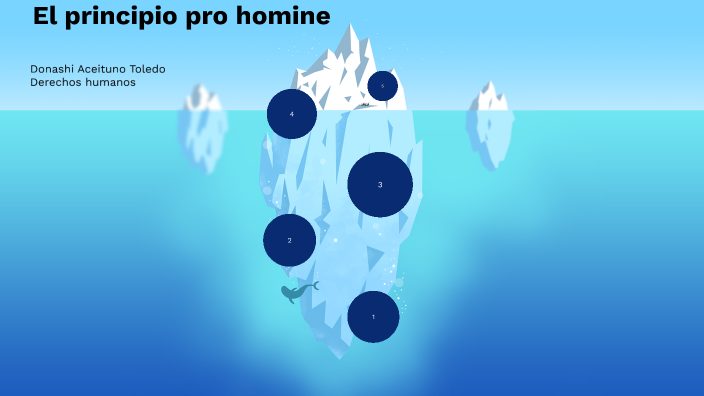 El principio pro persona o pro homine by Donashi Aceituno on Prezi