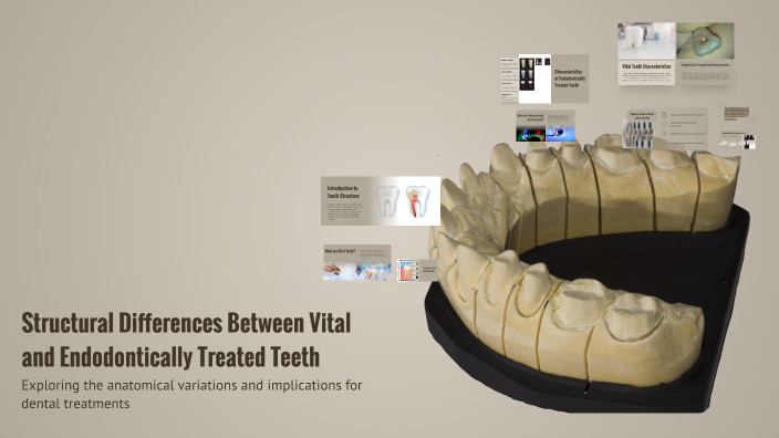 Structural Differences Between Vital and Endodontically Treated Teeth ...