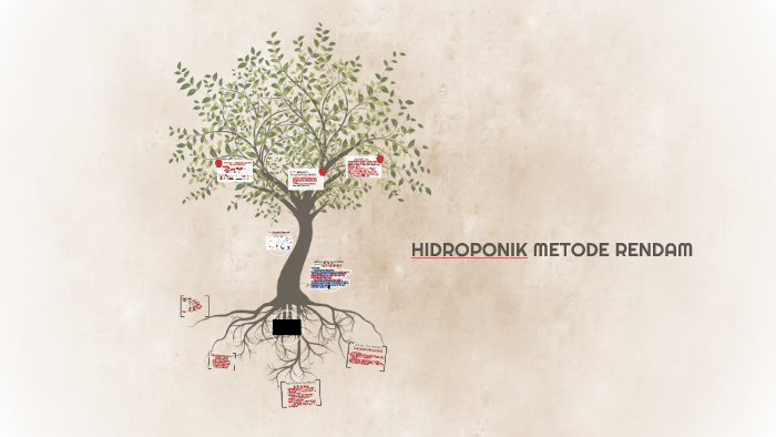 HIDROPONIK METODE RENDAM by gracia shafa on Prezi