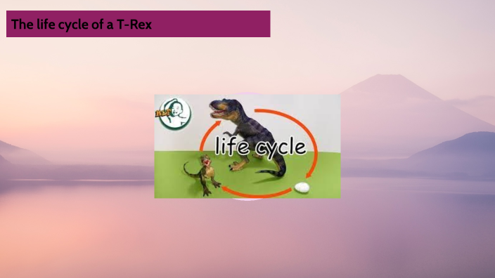The life cycle of a T-Rex by Erin O'DONNELL on Prezi