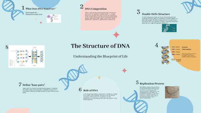 The Structure of DNA by Leteisha Clark on Prezi